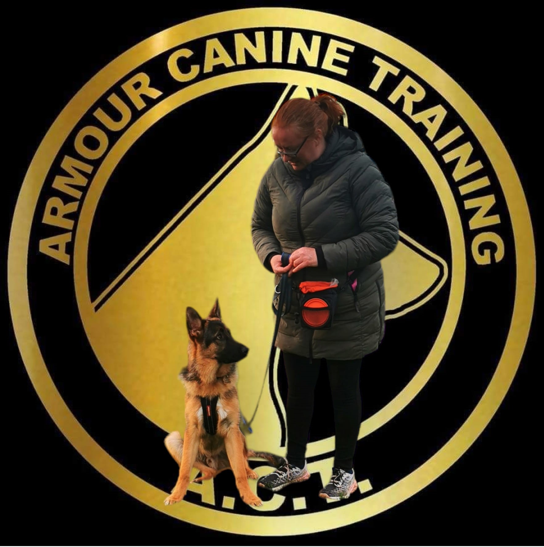 Media and Reviews – ARMOUR CANINE TRAINING