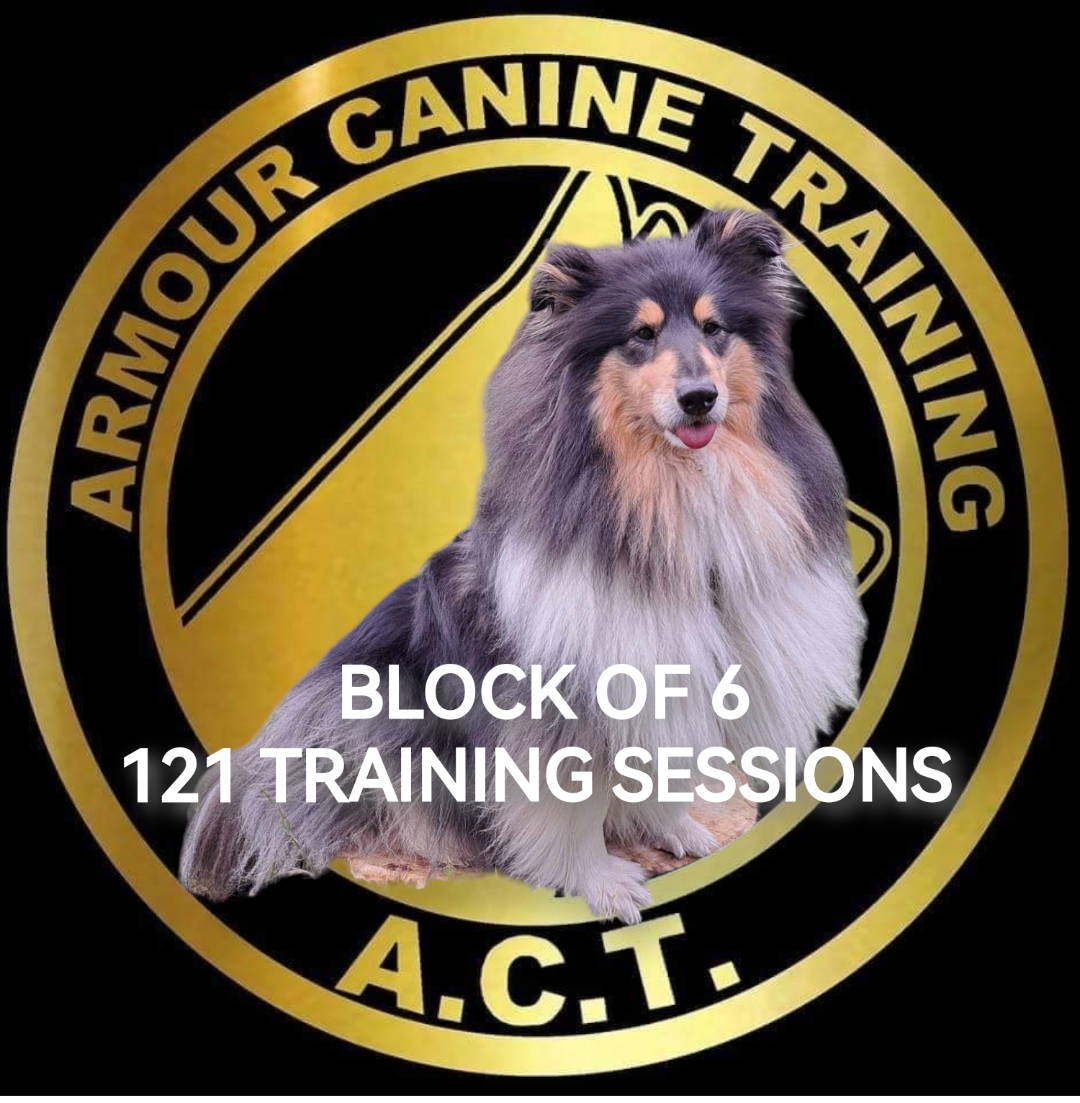 services – ARMOUR CANINE TRAINING